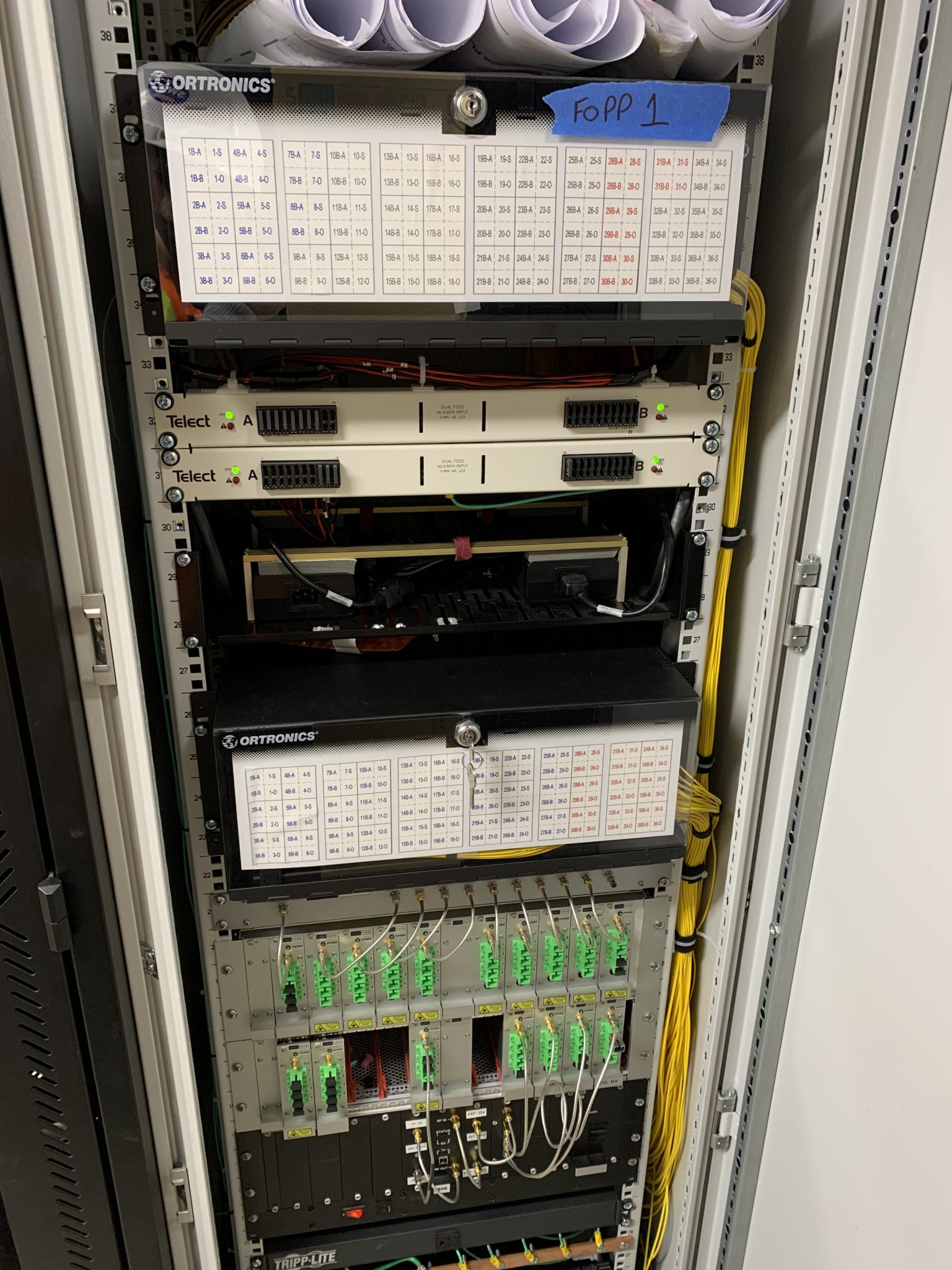 LaGuardia Featured Project - Cellgain